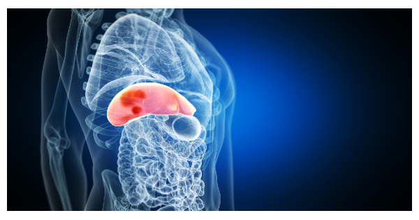 Težave z jetri - Lekarna Ljubljana