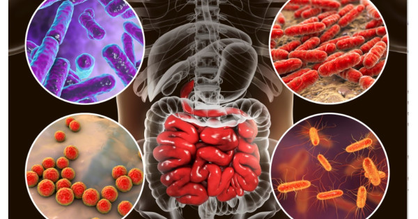 Probiotiki - Spletna Lekarna Ljubljana